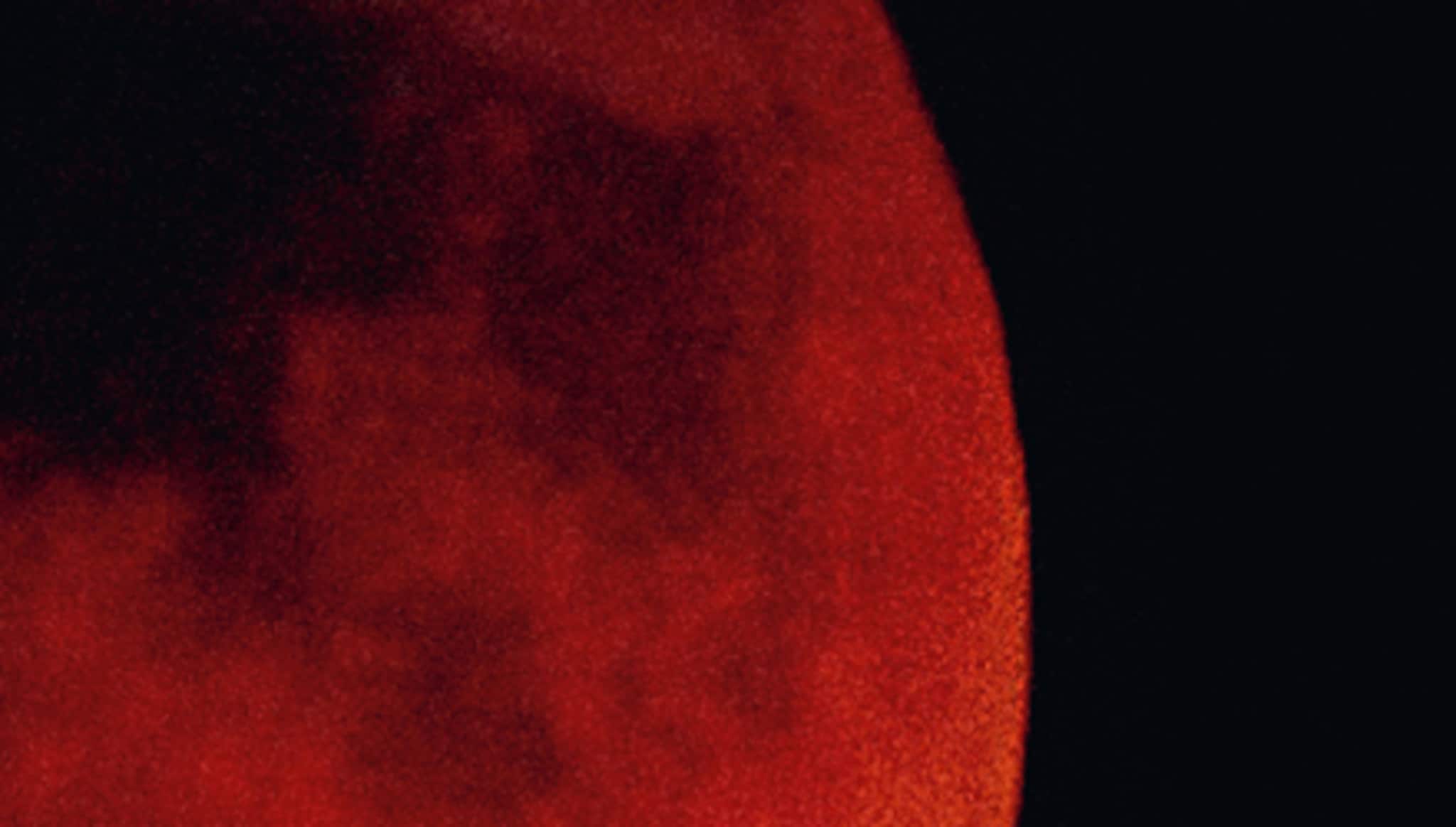 Harry Hole - Kirjasarja - BookBeat