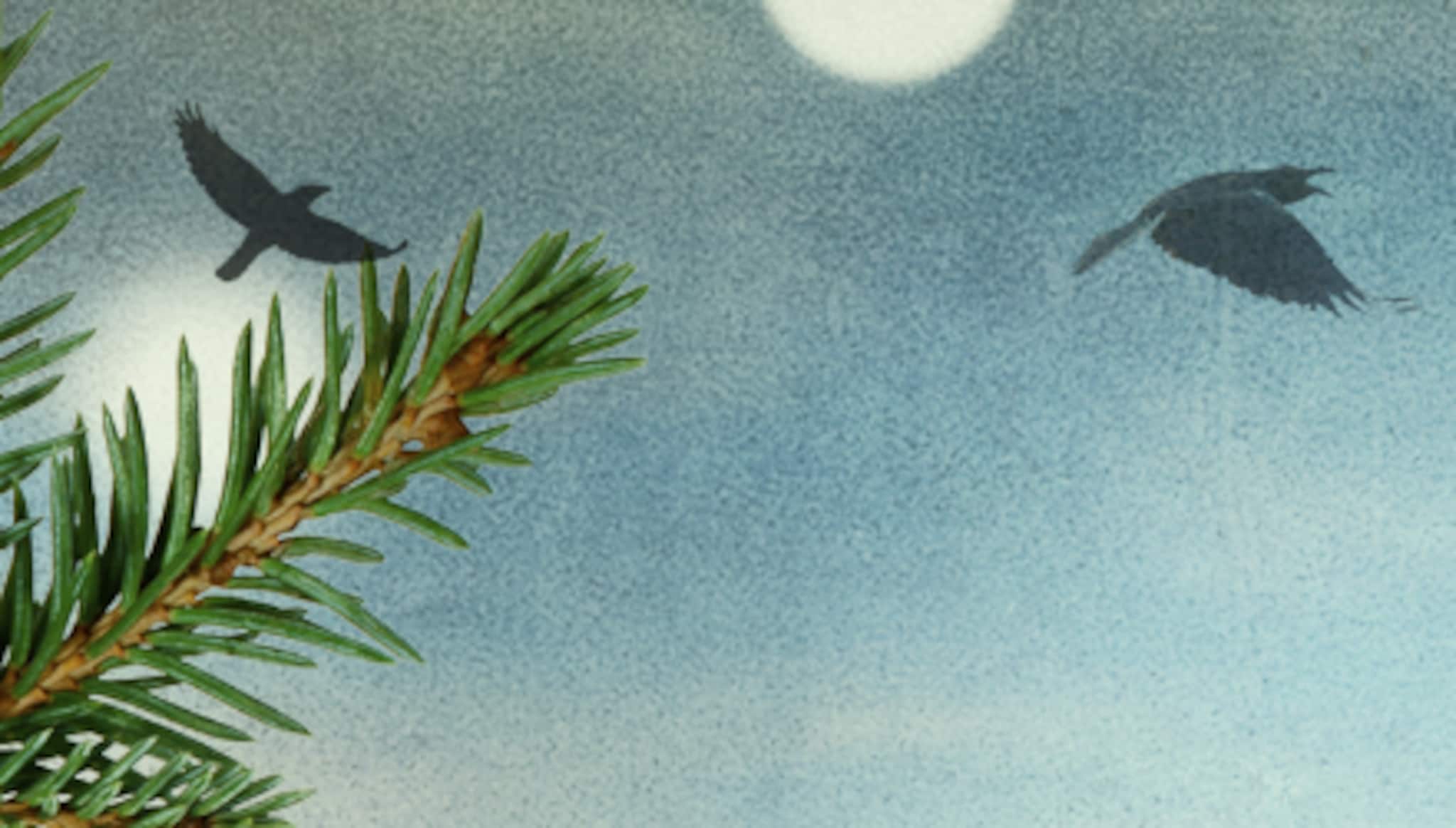 Samuel Williams - Bokserien - BookBeat